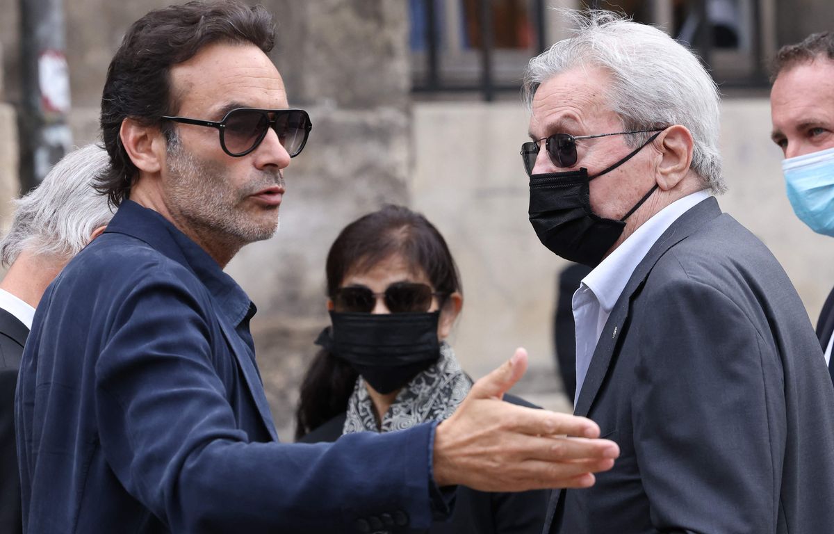 Affaire Delon : Hiromi Rollin contre-attaque et porte plainte contre ... Affaire Delon : Hiromi Rollin contre-attaque et porte plainte contre ...